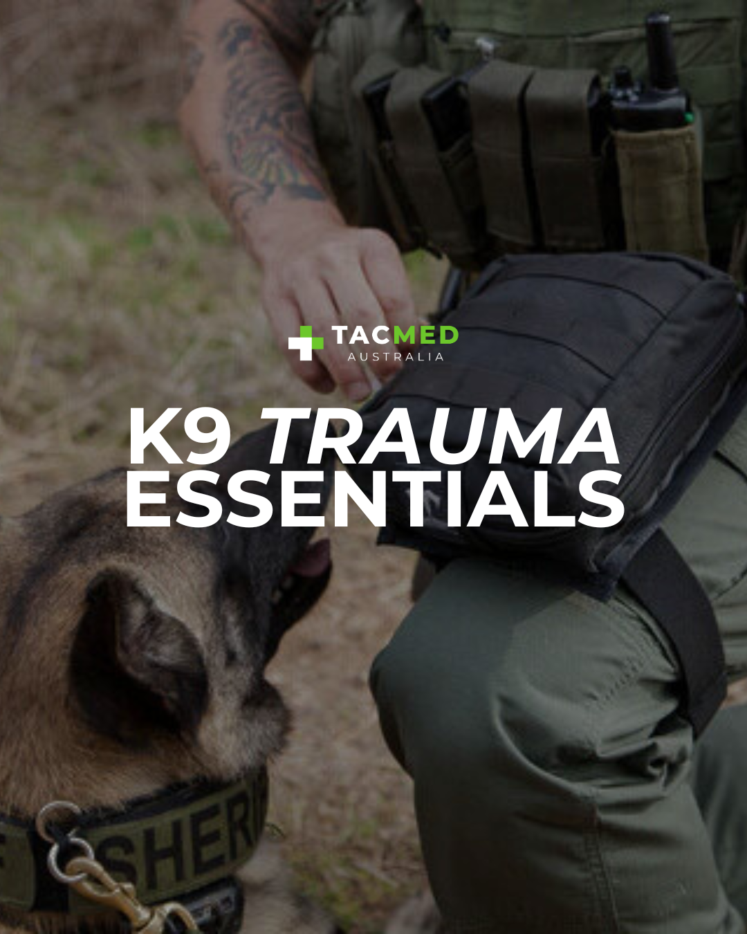 Essential K9 Medical Equipment for Working Dog Handlers | TacMed Australia